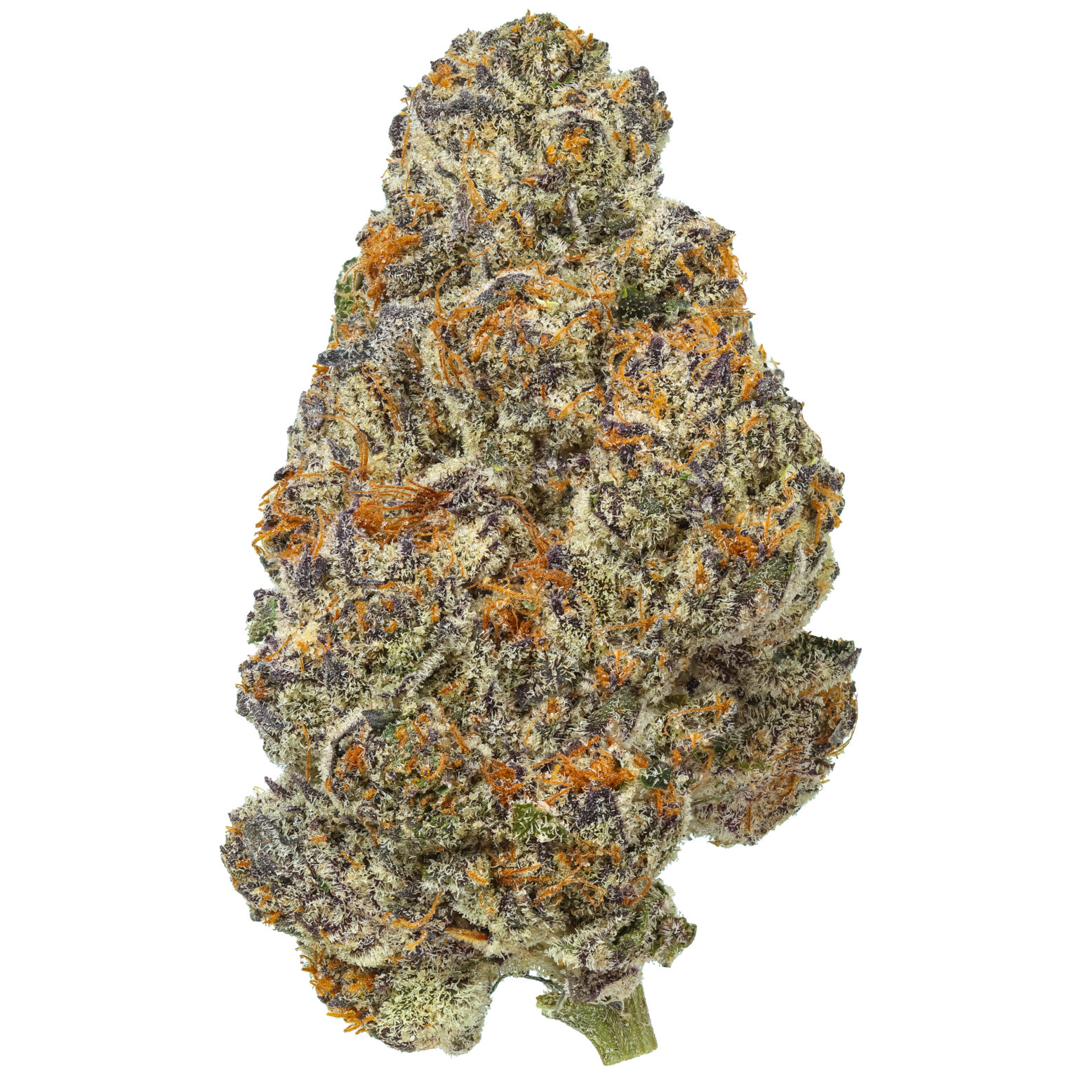 Purple Push Pop - Kushte