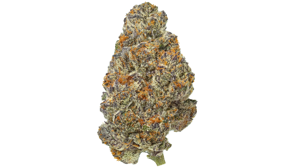 Premium THCA Hemp Tea - American Imported - Kushte