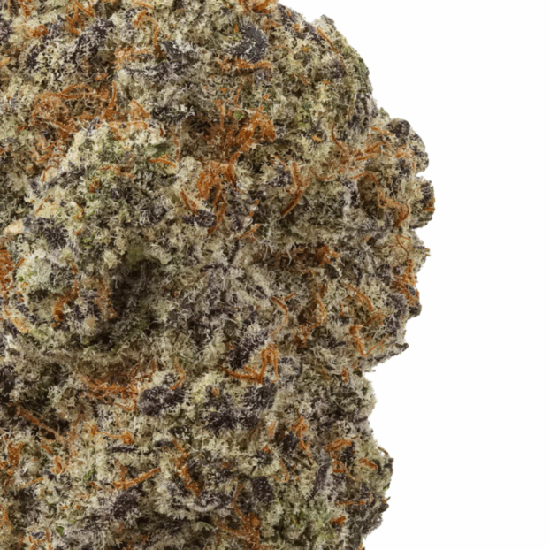 Pink Lemonade THCA 25.22%| Kushte