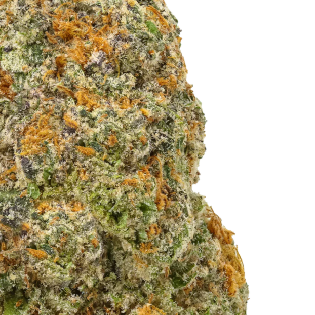 Gas Station Candy THCA 28.87%| Kushte