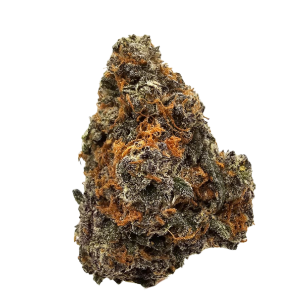 Motor Breath THCA 29%| Kushte