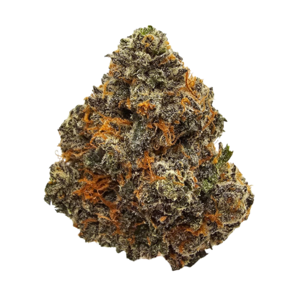 Motor Breath THCA 29%| Kushte