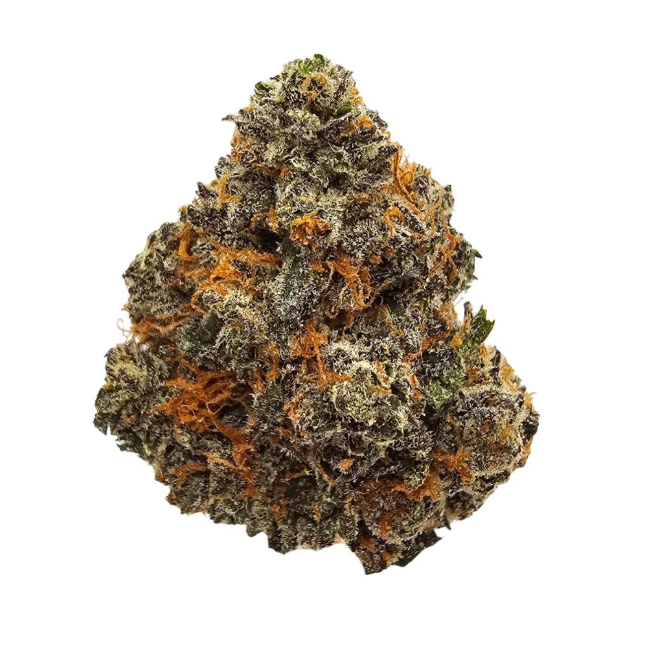 Motor Breath THCA 29%| Kushte